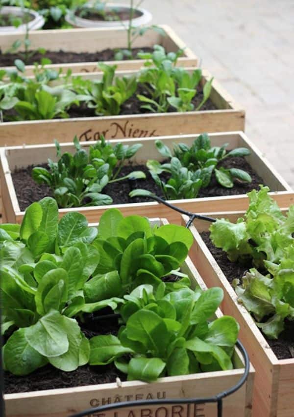 Useful Ideas For Small Space Gardens Useful Ideas For Small Space Gardens