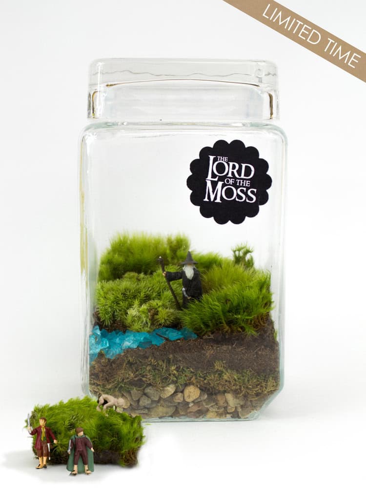 17 Whimsical Themed Terrarium Decorations