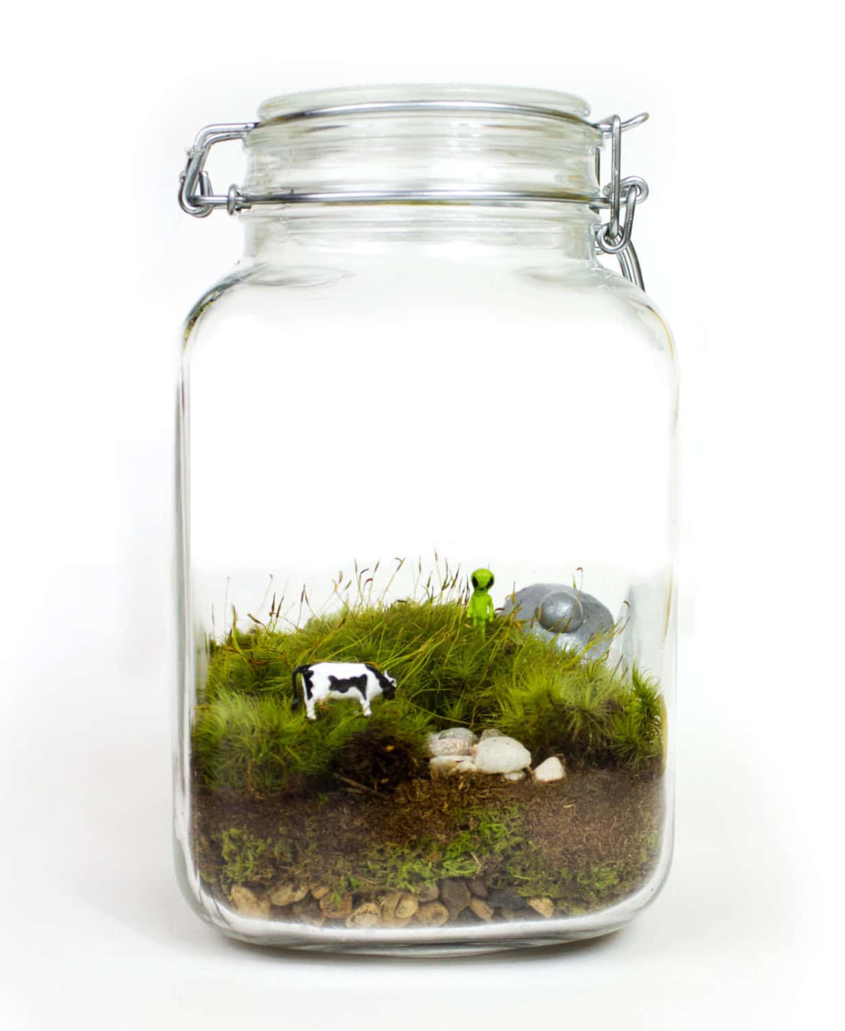 17 Whimsical Themed Terrarium Decorations