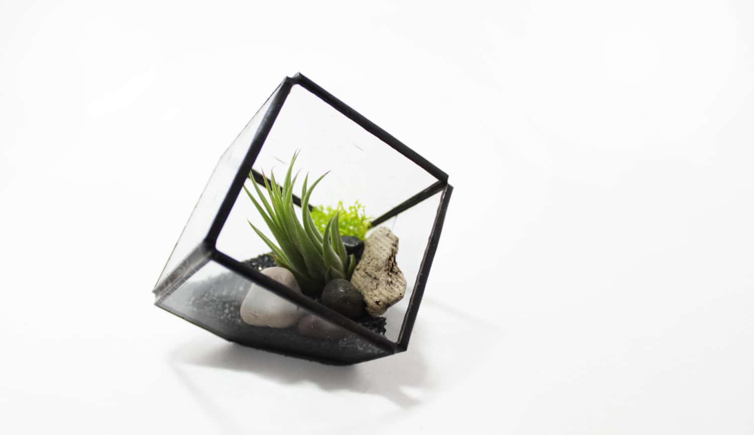 Decorate Your Home with Charming Little Terrariums