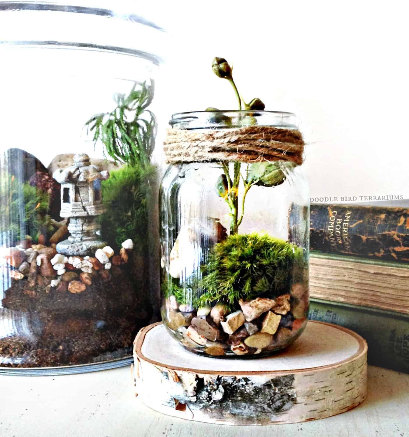 Decorate Your Home with Charming Little Terrariums