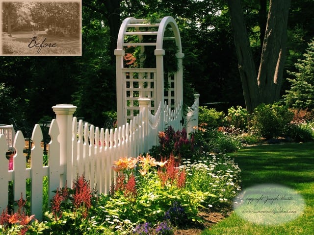 Flowers on The Fence- Beautiful Addition to Every Yard