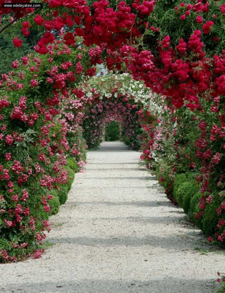 25 Marvelous Flower Walls