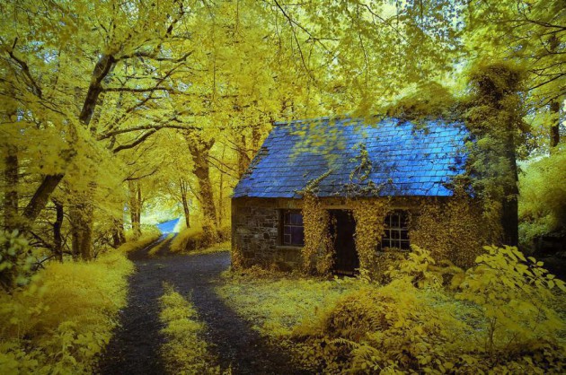 15 Lovely Small Cottages That Will Catch Your Eye
