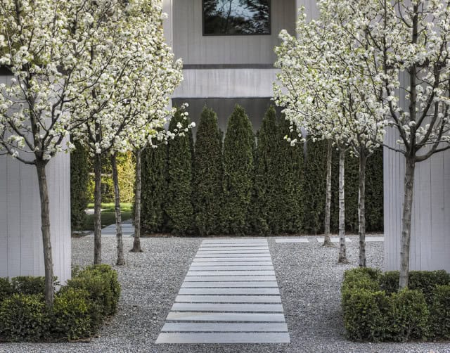 19 Astounding Landscape Design Ideas With Trees