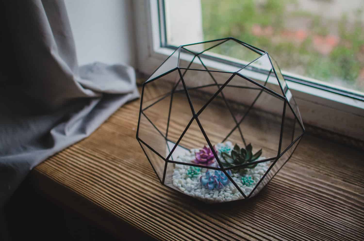 15 Captivating Terrarium Designs To Decorate Your Home In An ...