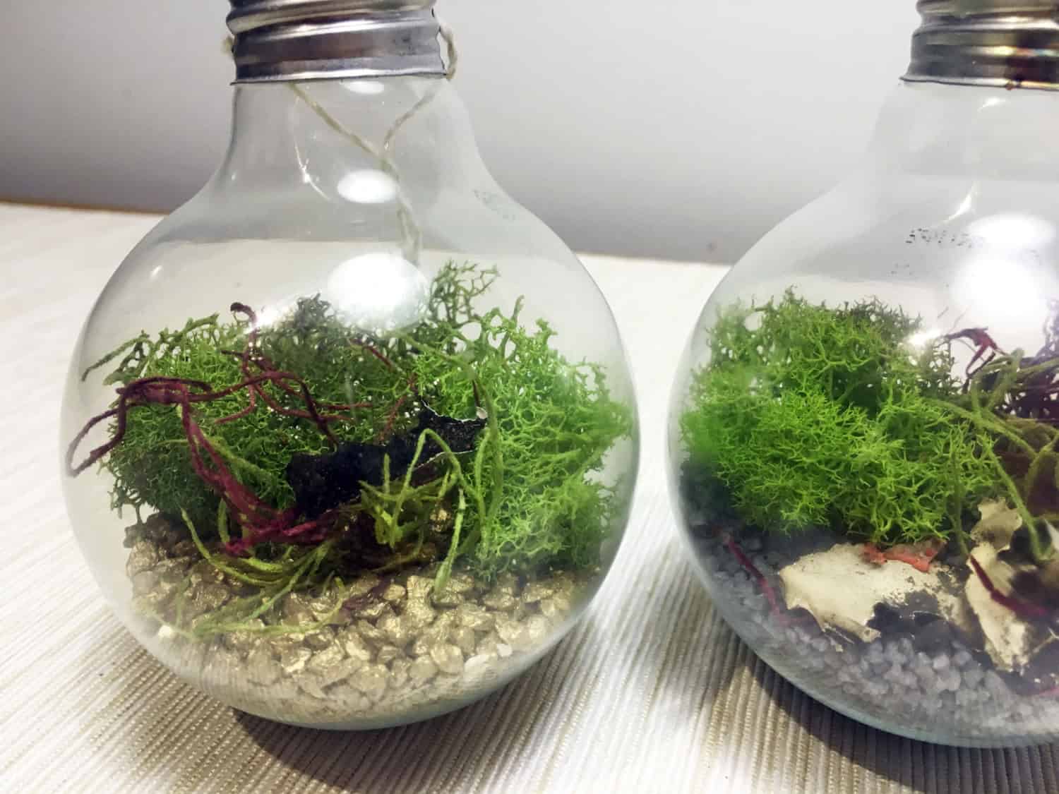 15 Captivating Terrarium Designs To Decorate Your Home In An ...