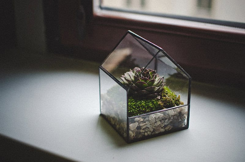 15 Captivating Terrarium Designs To Decorate Your Home In An ...