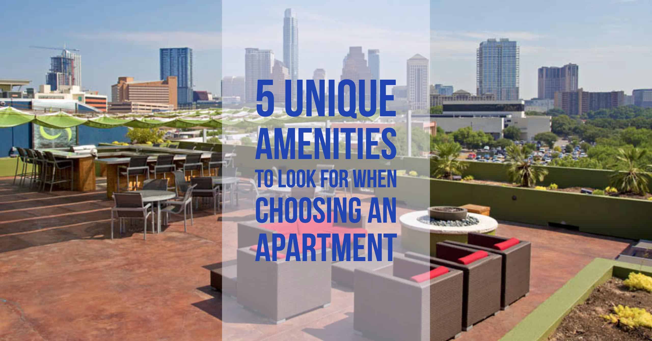 5 Unique Amenities to Look for When Choosing an Apartment