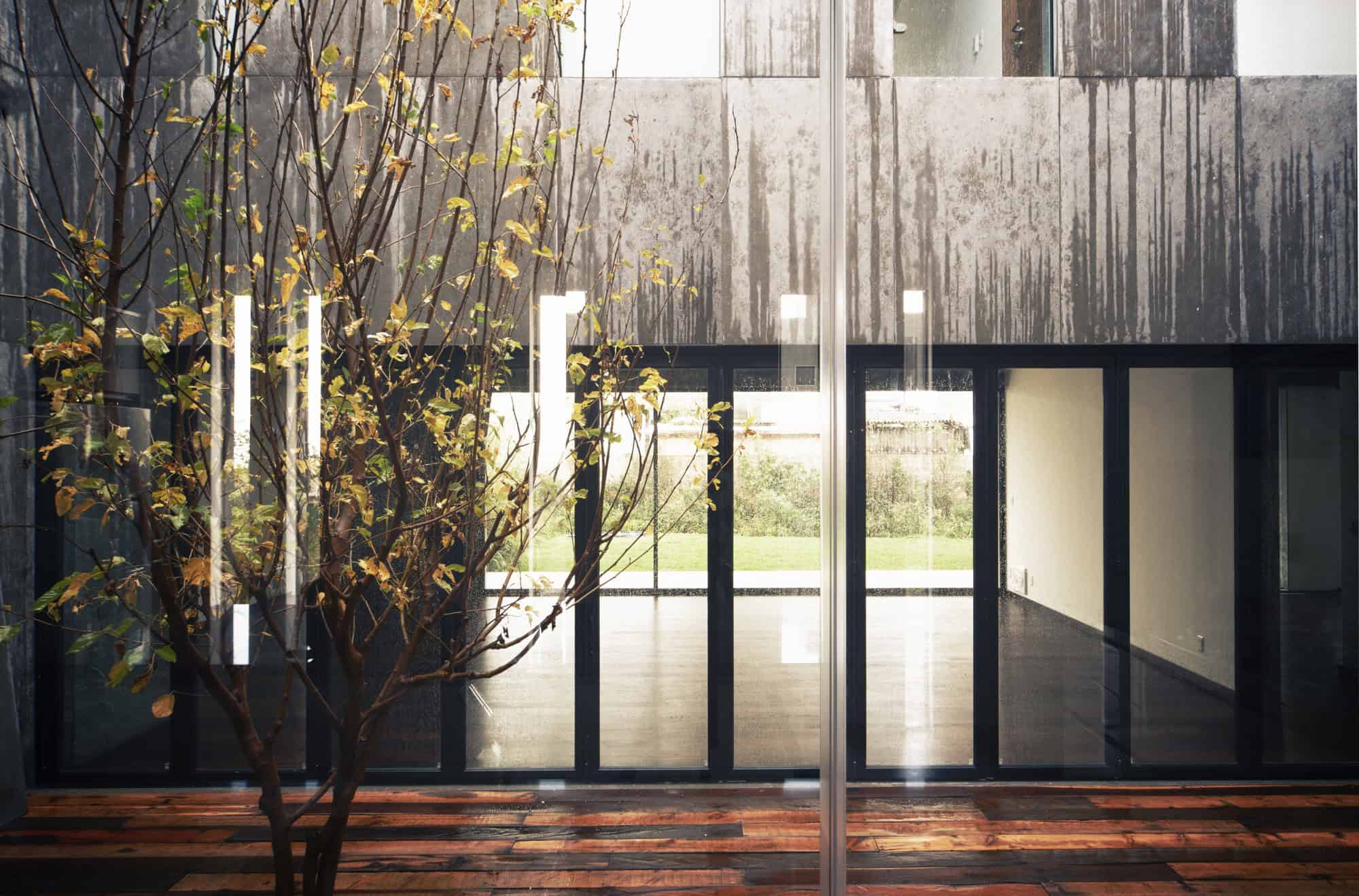 Cumbres House by Taller Hector Barroso in Mexico