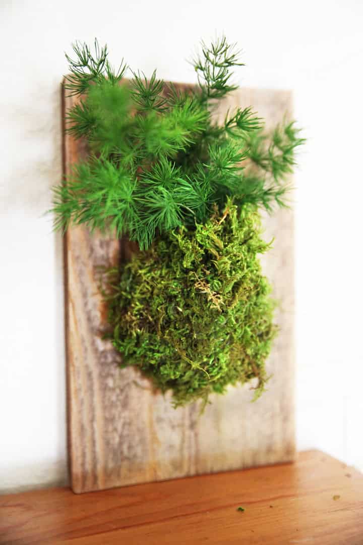 15 Spectacular Moss Wall Art Designs That Redefine The Living Wall Concept