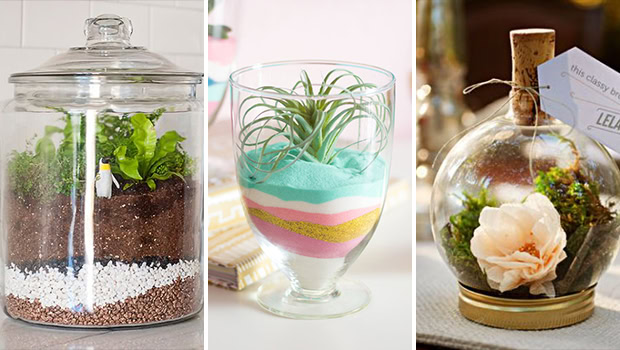 15 Awesome DIY Terrarium Ideas You Should Craft