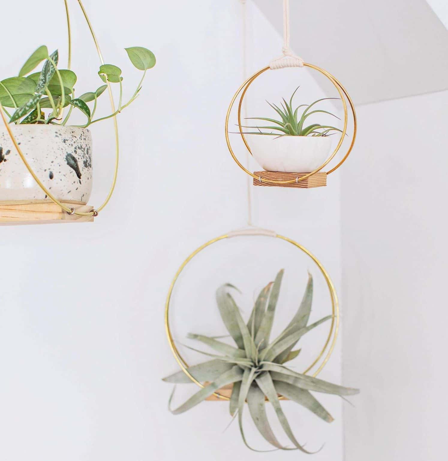 15 Majestic DIY Contemporary Decorations That Will Add Charm Into Every ...