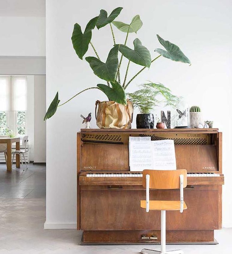 Piano In The Interior- 15 Creative Ideas How To Decorate It