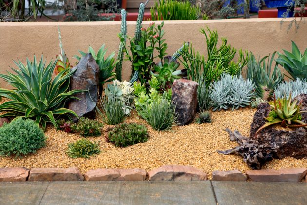 15 Majestic Southwestern Landscape Designs That Will Take Your Breath Away