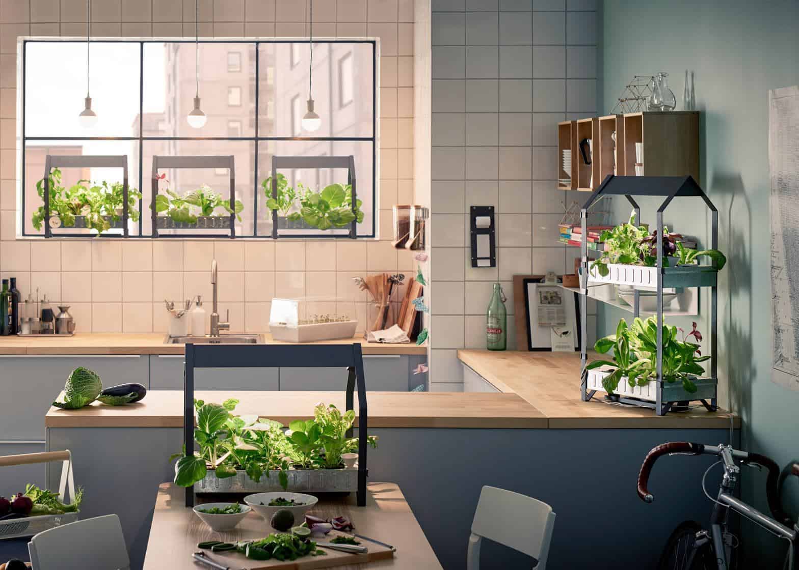 10 Ideas of Home Garden to Get Started Right Now