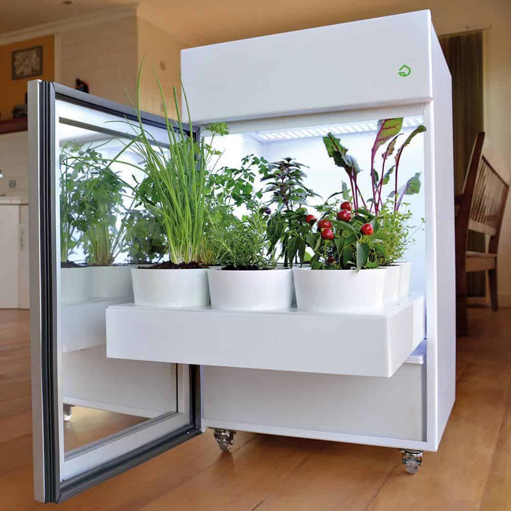 10 Ideas of Home Garden to Get Started Right Now