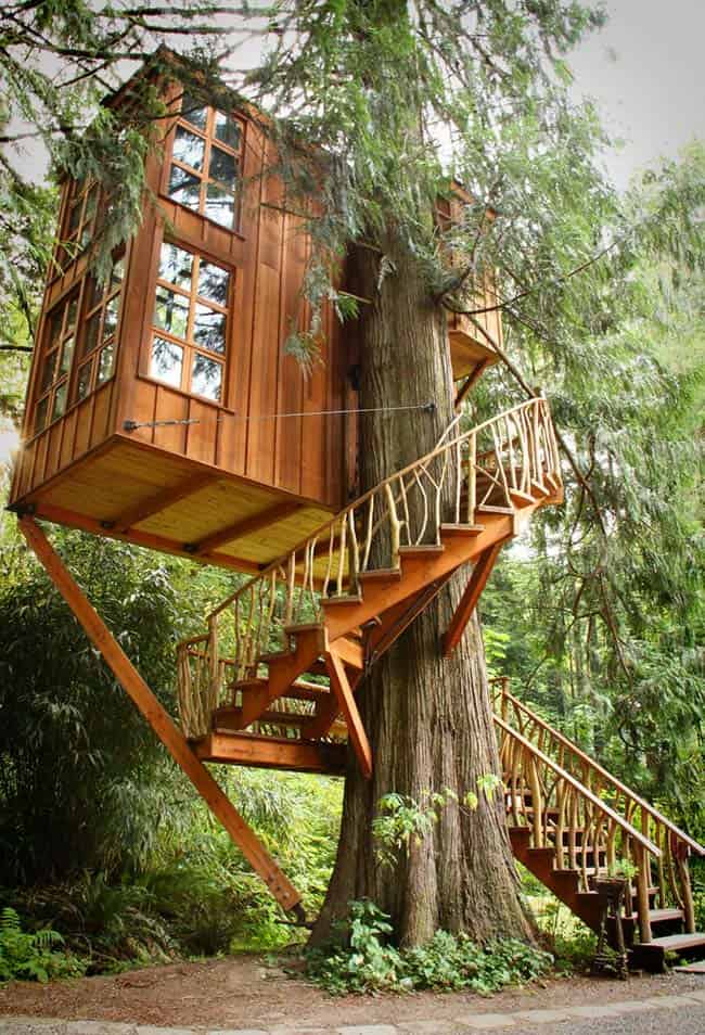 Here are the Most Amazing Tree House Ideas That You Can Use as ...