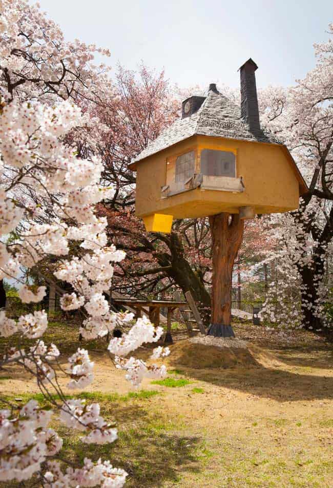 Here are the Most Amazing Tree House Ideas That You Can Use as ...