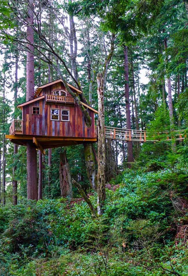 Here are the Most Amazing Tree House Ideas That You Can Use as ...
