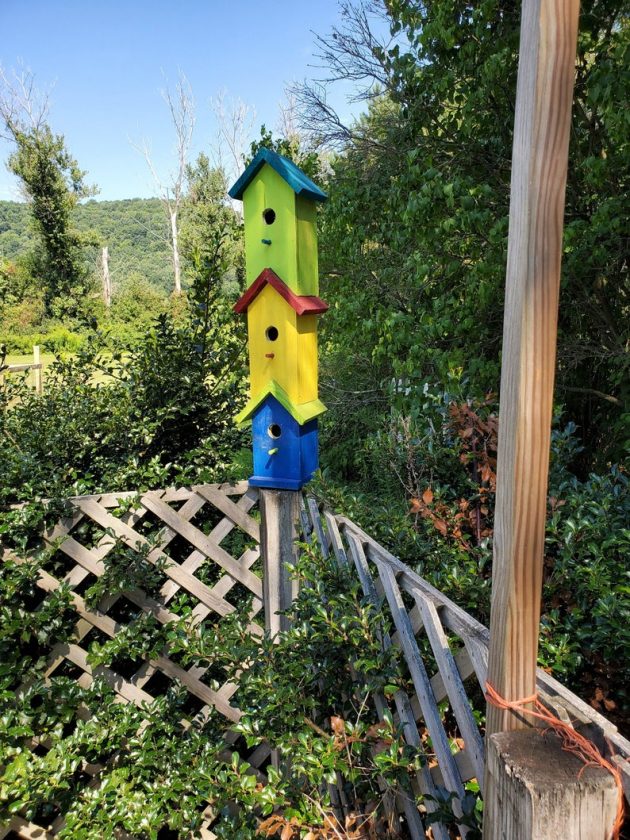 17 Wonderfully Creative Birdhouse Designs For Your Garden