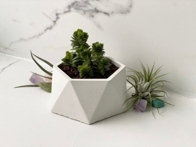 20 Elegant Geometric Planter Designs That Will Bring Order To Your Décor