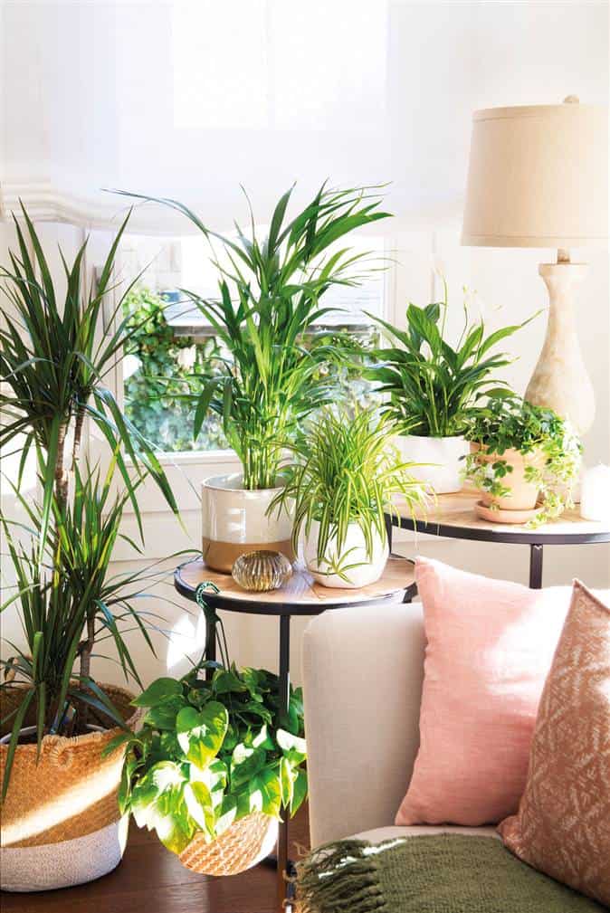 How To Take Care Of The Plants While You Are On Vacation How To Take Care Of The Plants While You Are On Vacation