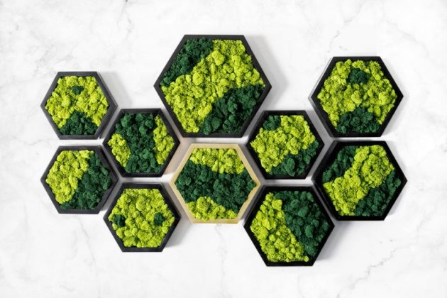 18 Soothing Moss Wall Décor Designs You Won't Be Able To Resist