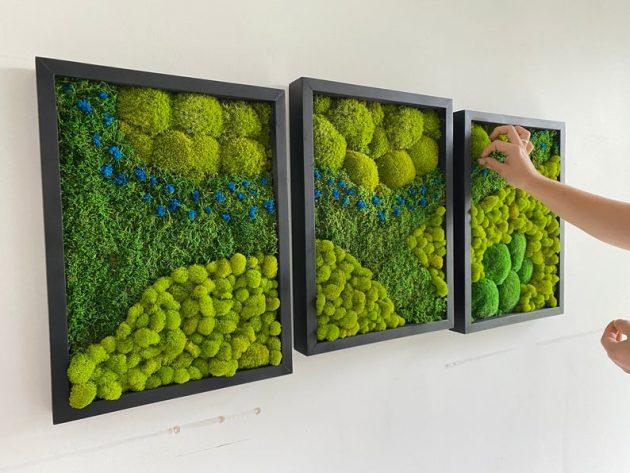 18 Soothing Moss Wall Décor Designs You Won't Be Able To Resist
