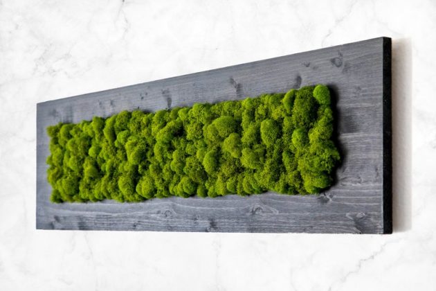18 Soothing Moss Wall Décor Designs You Won't Be Able To Resist