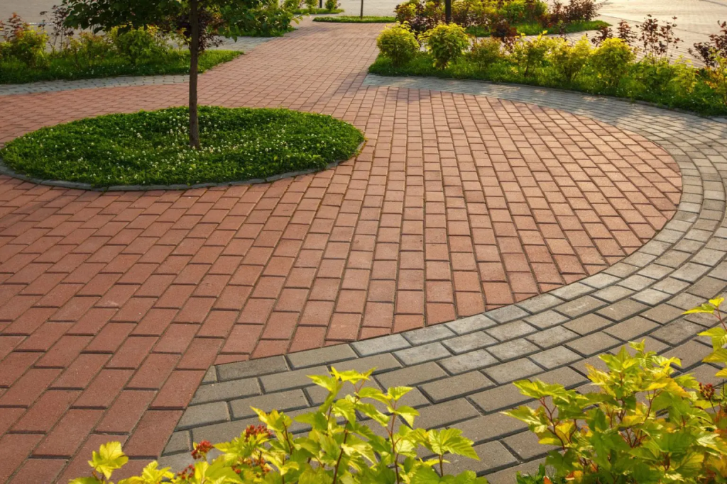 A Landscaper's Guide for Best Looking Trees for Gardening