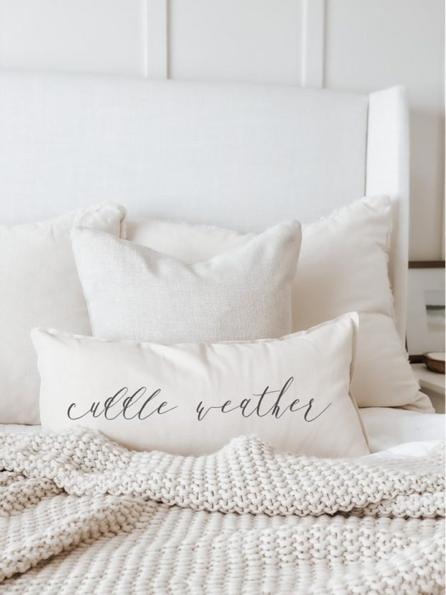 20 Fantastic Winter Pillow Designs That Will Refresh Your Seasonal Décor