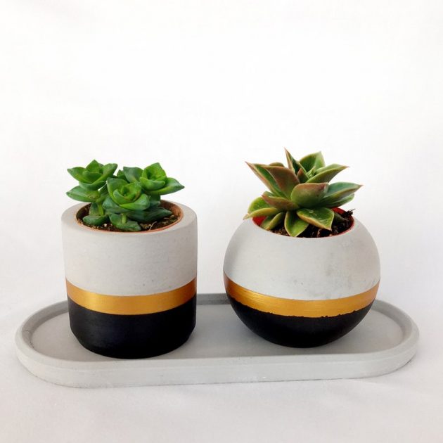 18 Minimalist Succulent Pot Designs For A Modern Touch