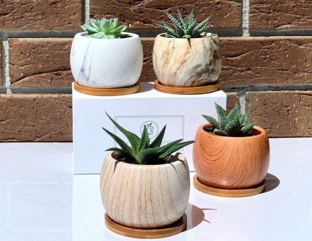 18 Minimalist Succulent Pot Designs For A Modern Touch