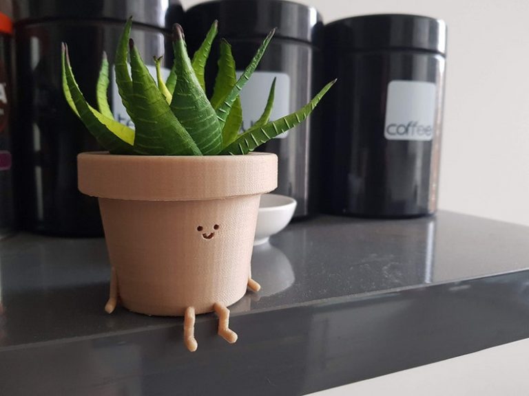 18 Minimalist Succulent Pot Designs For A Modern Touch