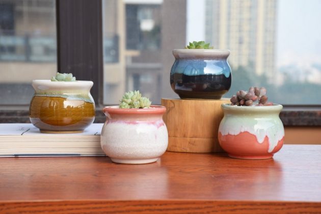 18 Minimalist Succulent Pot Designs For A Modern Touch