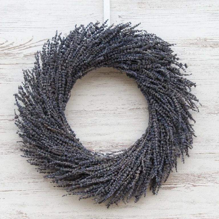 16 Refreshing Natural Spring Wreath Designs That Will Dazzle You