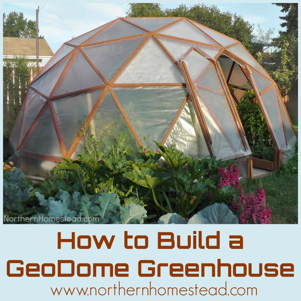 15 Simple DIY Green House Projects That Will Get You Started