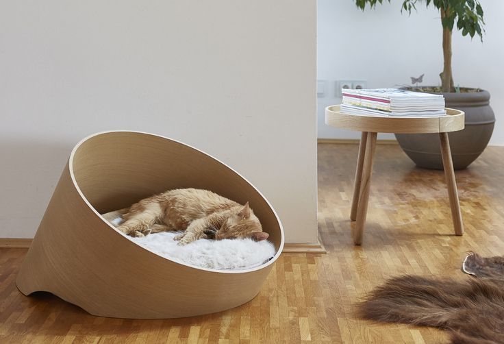 The Design Cat Basket For Your Cat