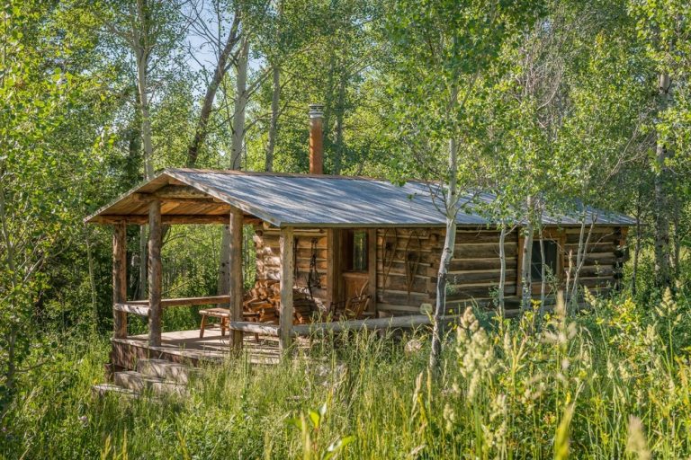 18 Phenomenal Rustic Shed Designs Straight Out Of Your Dreams