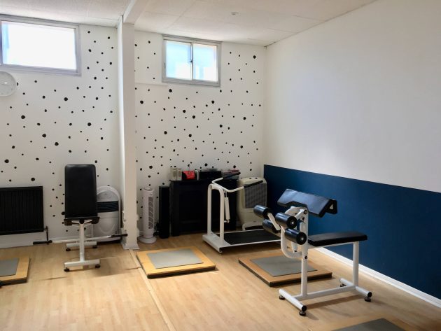 18 Compact & Efficient Scandinavian Home Gym Interior Designs