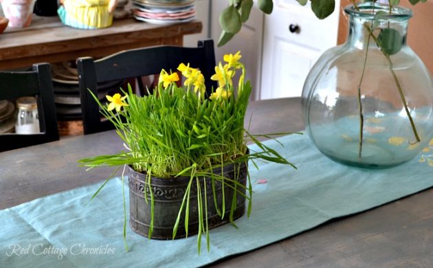 DIY Spring Planter Ideas To Try This Spring Season