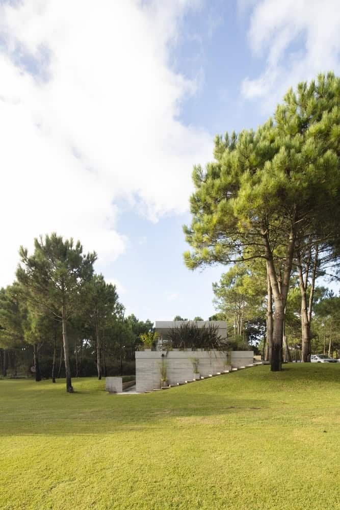 House with ten pines by Estudio Frolik in Pinamar, Argentina