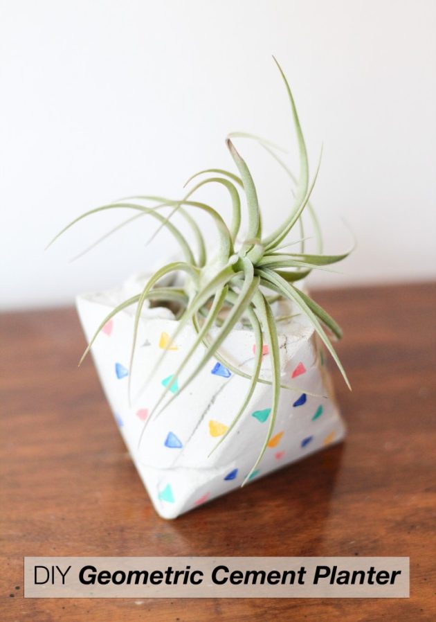 15 Easy-to-Make DIY Concrete Planter Projects for a Contemporary Touch