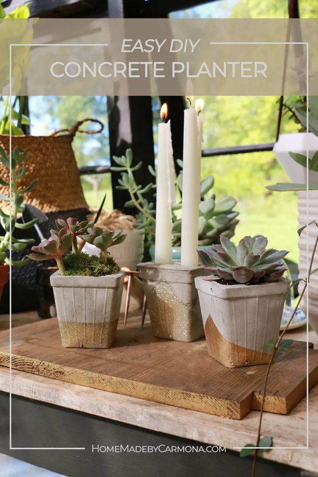 15 Easy-to-Make DIY Concrete Planter Projects for a Contemporary Touch