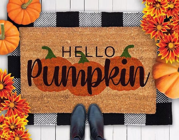 15 Charming Fall Doormat Ideas to Greet Autumn with Style