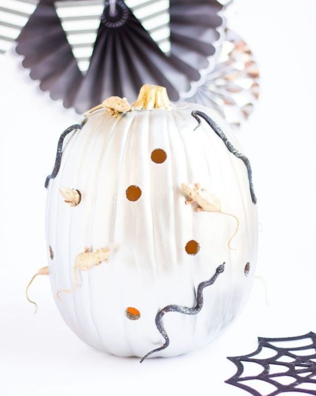 15 DIY Pumpkin Designs That Will Leave You Inspired