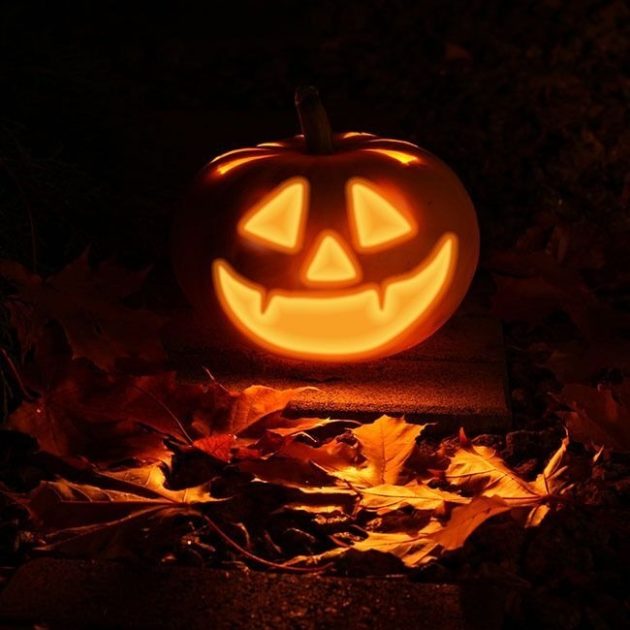 15 DIY Pumpkin Designs That Will Leave You Inspired