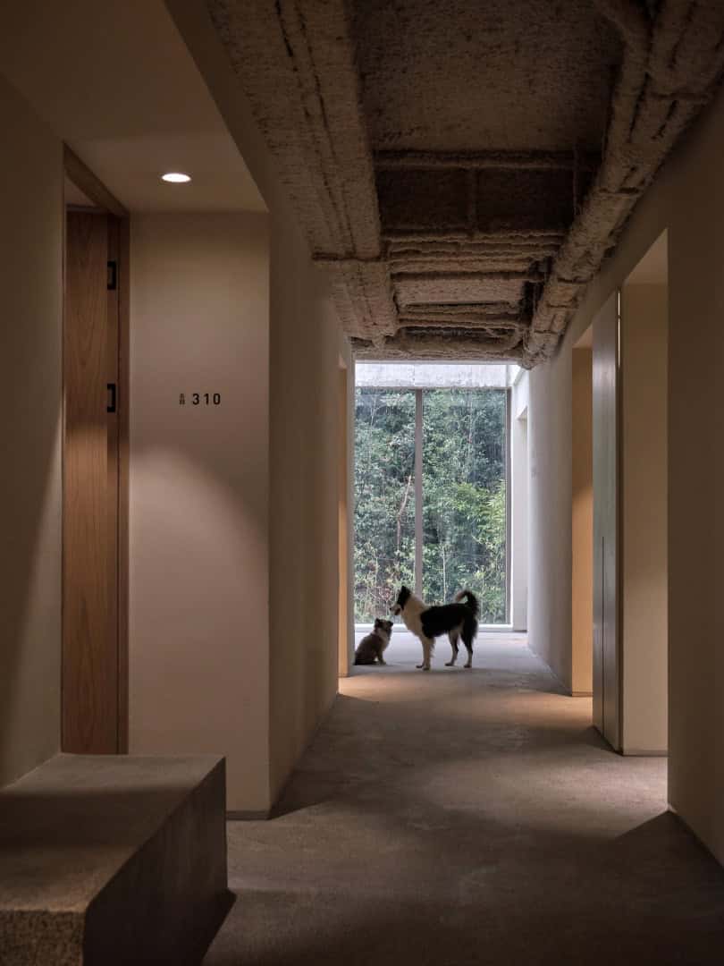 Terraced Courtyard by TEAM BLDG in Hangzhou, China