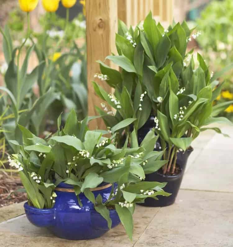 15 Creative DIY Garden Projects to Blossom Your Spring